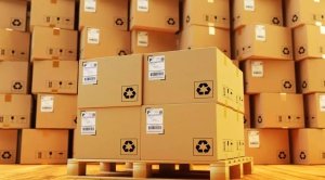 Evergreen Entire Packaging